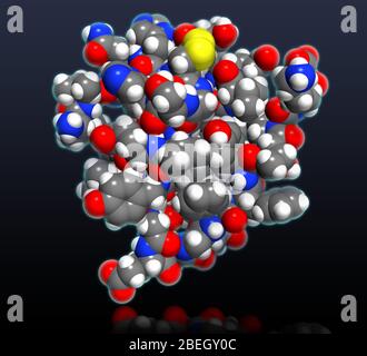 Insulin Monomer Molecular Model Stock Photo - Alamy