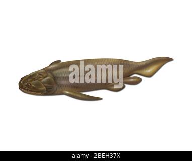 Holoptychius, Extinct Fish Stock Photo - Alamy