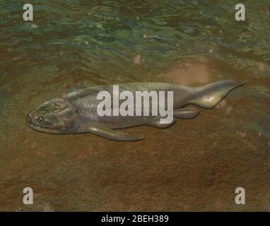 Holoptychius, Extinct Fish Stock Photo - Alamy
