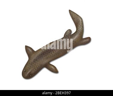 Panderichthys, Extinct Fish Stock Photo - Alamy