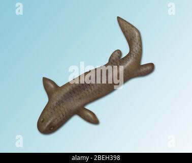 Panderichthys, Extinct Fish Stock Photo - Alamy