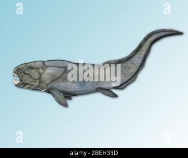 Placoderm, Extinct Fish Stock Photo - Alamy