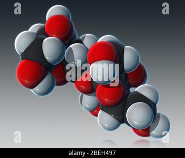 Sucrose. Molecular model of the organic compound sucrose (C12.H22.O11 ...