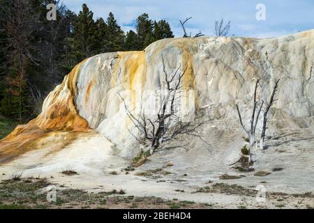 Orange Mound Spring in Yellowstone National Park showing its impact on ...