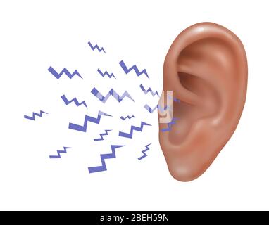 Sound Entering Human Outer Ear, Illustration Stock Photo - Alamy