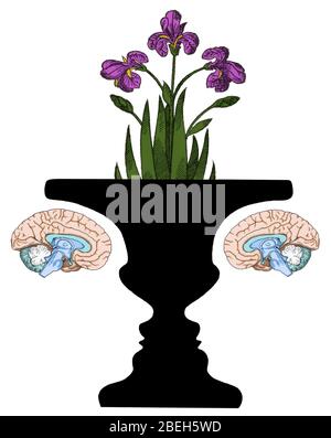 Figure-ground perception, face and vase. Figure-ground organization ...