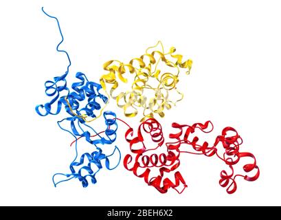 Endolysin, Molecular Model Stock Photo - Alamy