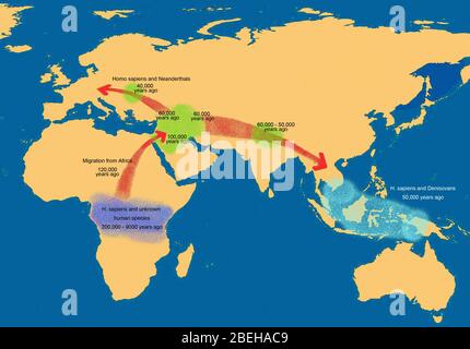 Early Human Migration Map Stock Photo - Alamy