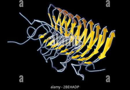 Amyloid beta protein. Molecular model showing the structure of amyloid ...