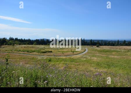 Walking paths at the top of Powell Butte Nature Park, Portland, Oregon ...