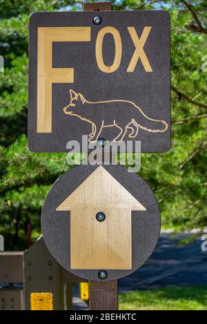 Street Sign the Direction Way to Animal Protection Stock Photo - Alamy