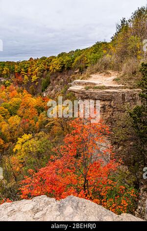 Dundas Valley Niagara Escarpment Hamilton Ontario Canada in autumn ...
