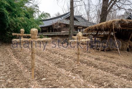Korean traditional scarecrow. Korean Folk Village, Yongin. Korea Stock ...