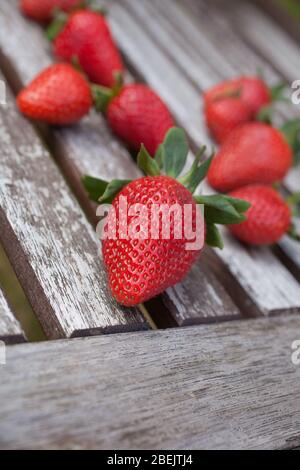 Lots of red ripe fresh strawberries. Food background Stock Photo - Alamy