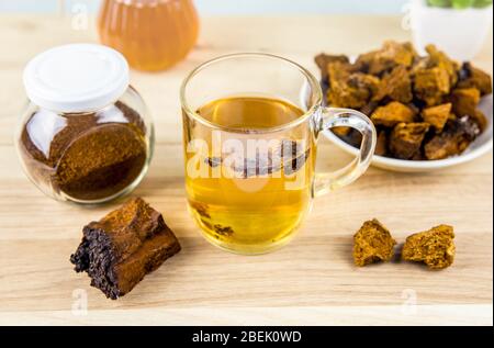 Cup of tea of birch chaga mushroom and crushed chaga fungus pieces for ...