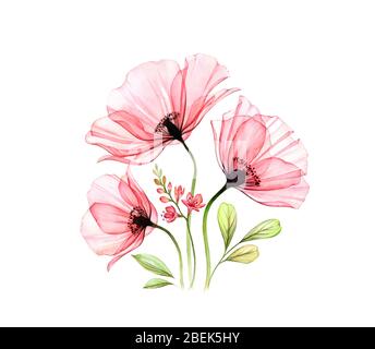 Red poppy field abstract watercolor background. Summer landscape Stock ...
