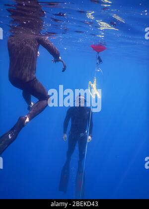 Free diving in the sea at Noli, Liguria - Italy Stock Photo - Alamy
