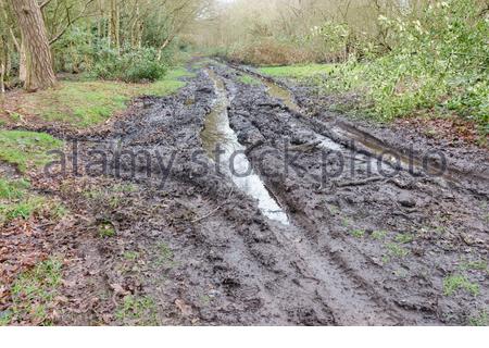 Water-filled ruts in a muddy field Stock Photo - Alamy
