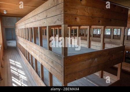 Bed bunks inside the barrack building (both building and beds ...