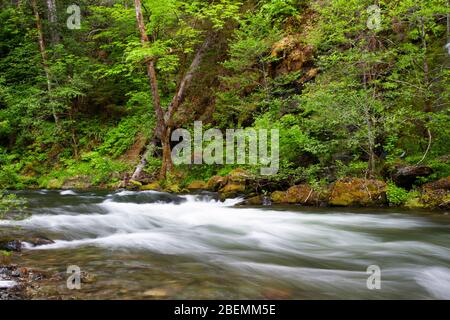 Bridge and view of Sucker Creek at Grayback Campground near Oregon ...