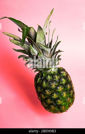Close up of singular floating pineapple on yellow background Stock ...