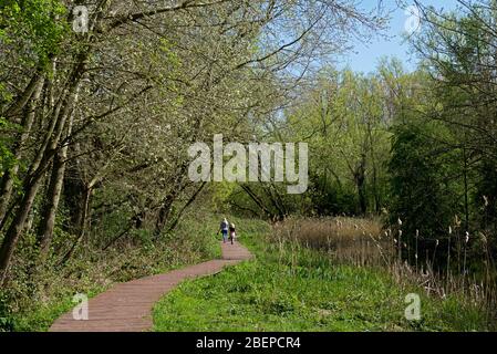 Woman and girl walking dog at Howden Marsh, a local nature reserve in ...