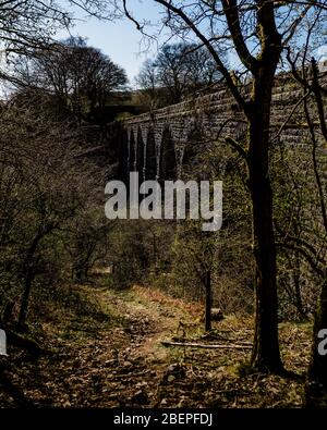 MERTHYR TYDFIL, WALES - 13 APRIL 2020 - White blossom tree with blue ...
