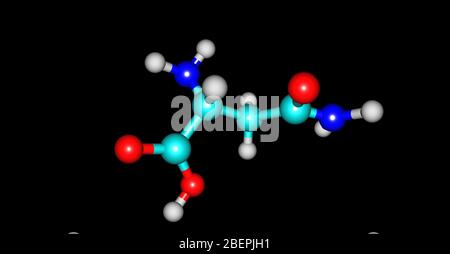 Asparagine is one of the 20 most-common natural amino acids on Earth ...