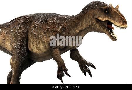 Allosaurus dinosaur, side view Stock Photo - Alamy