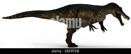 Baryonyx walkeri, a prehistoric era dinosaur from the Early Cretaceous ...