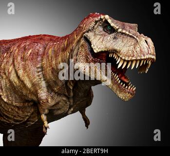 Tyrannosaurus rex dinosaur, profile view Stock Photo - Alamy