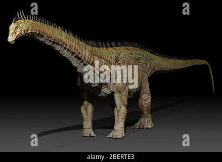 Diplodocus longus, a prehistoric era dinosaur from the Jurassic period ...