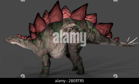 Stegosaurus dinosaur, side view on black background Stock Photo - Alamy