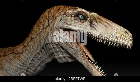 Utahraptor dinosaur, side view on black background Stock Photo - Alamy