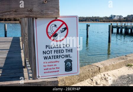 Sign: do not feed birds Stock Photo - Alamy