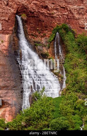 Vasey's Paradise waterfall pouring out of sandstone walls near the Colorado River, Grand Canyon ...