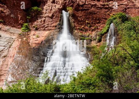 Vasey's Paradise waterfall pouring out of sandstone walls near the Colorado River, Grand Canyon ...
