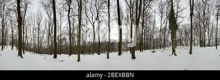 Panorama 360 of winter forest and frozen lake Stock Photo - Alamy