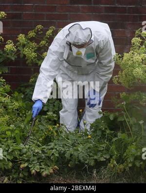 Forensic investigators at the Ballybough House flats complex, Dublin ...