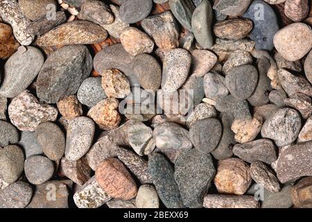 gray rounded stones of heterogeneous structure, background Stock Photo ...