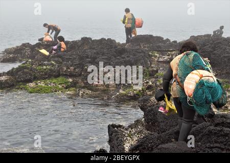 Haenyeo, the female divers in the Jeju island, South Korea Stock Photo ...