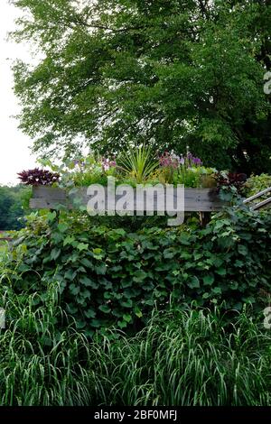 Decorative Wooden Planter Box with Blooming Red Flowers Arranged in the ...