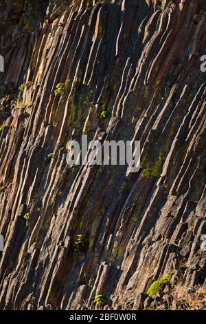 natural columnar basalt cliff with plants on top Stock Photo - Alamy