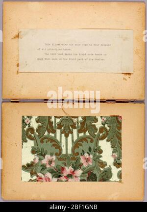 Threetoned Bird Design study folder for book Concealing Coloration in ...