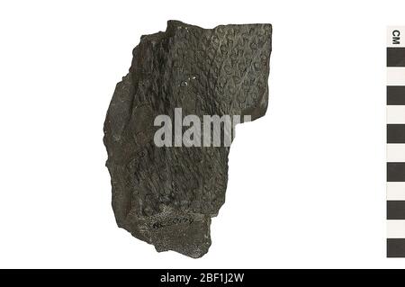 Fossil Tree Root. This object is part of the Education and Outreach ...