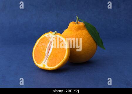 Orange Hallabong on blue background. One fruit seen from above. (Korea ...