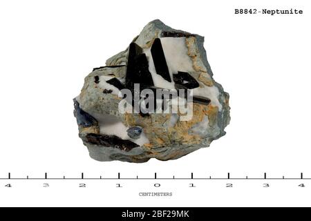 Neptunite. 5 Mar 201953916921 Stock Photo - Alamy