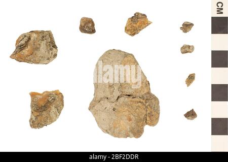 Coprolite. This object is part of the Education and Outreach collection ...
