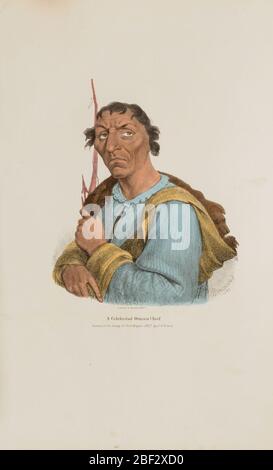 A Celebrated Ottowa Chief, from The Aboriginal Portfolio 1835 by James ...