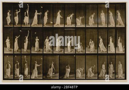 Woman Throwing Handkerchief in Air, Picking It Up, from the book Animal ...